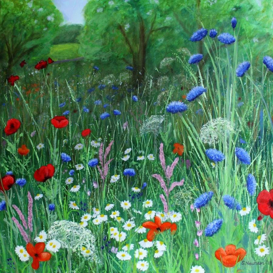 Wildflower meadow - Mid Wales Artist - Sue Newham